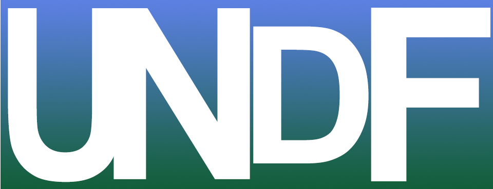 United Nigeria Diaspora Foundation